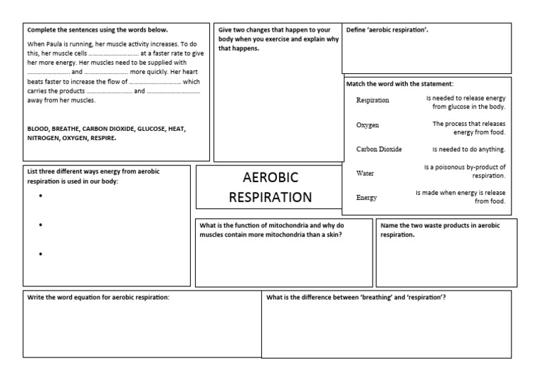 Aerobic Respiration Study Guide | PDF | Cellular Respiration | Oxygen