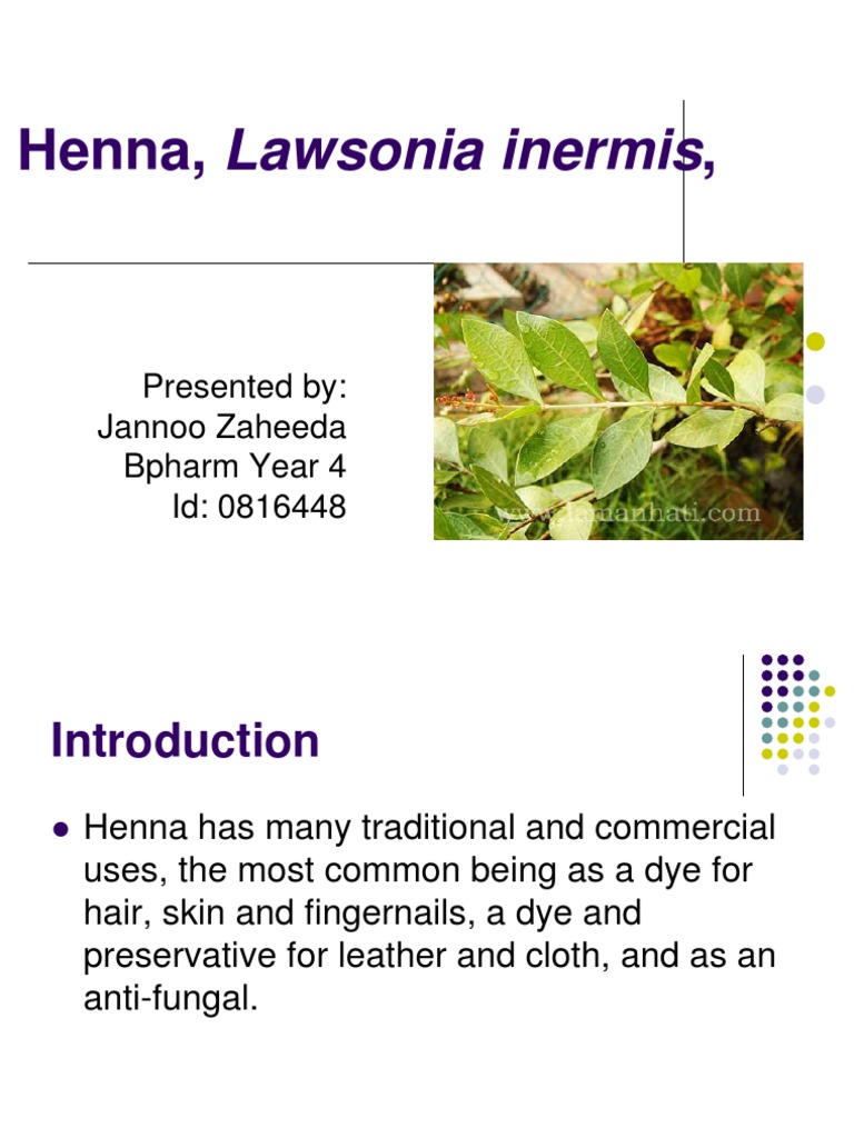 Henna: Uses, Benefits, and Effects | PDF | Wound Healing | Ethanol