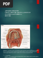 Anatomie et Fonction de la Langue | PDF | Langue | Anatomie humaine