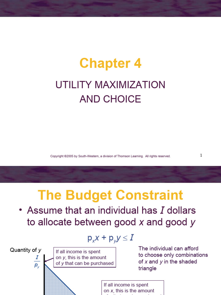 5 Slides ch04 8 13sep2021 | PDF | Utility | Economic Theories