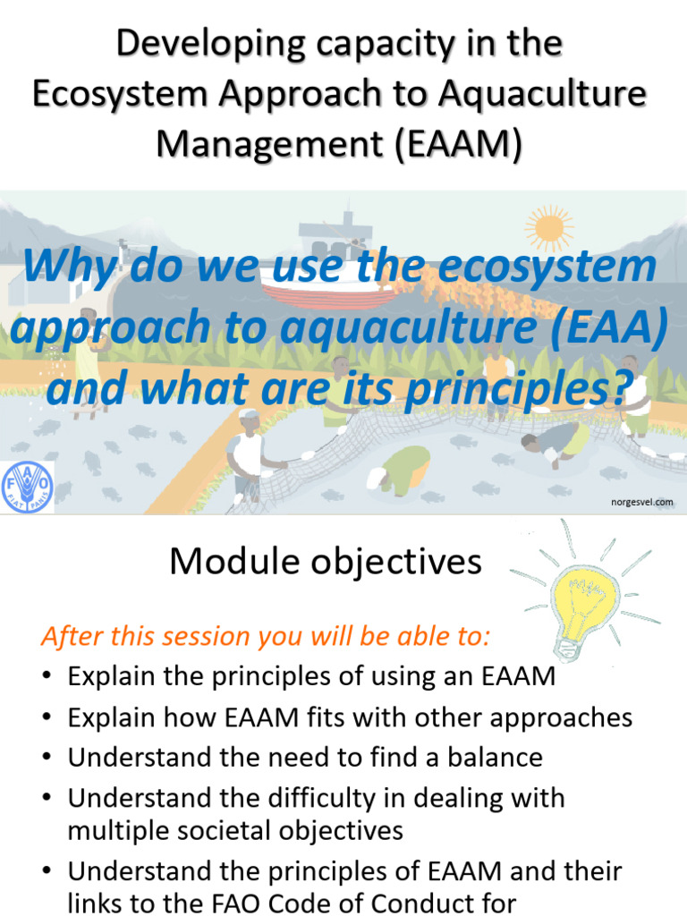 004.why EAA and What Are Its Principles | PDF | Governance | Sustainability