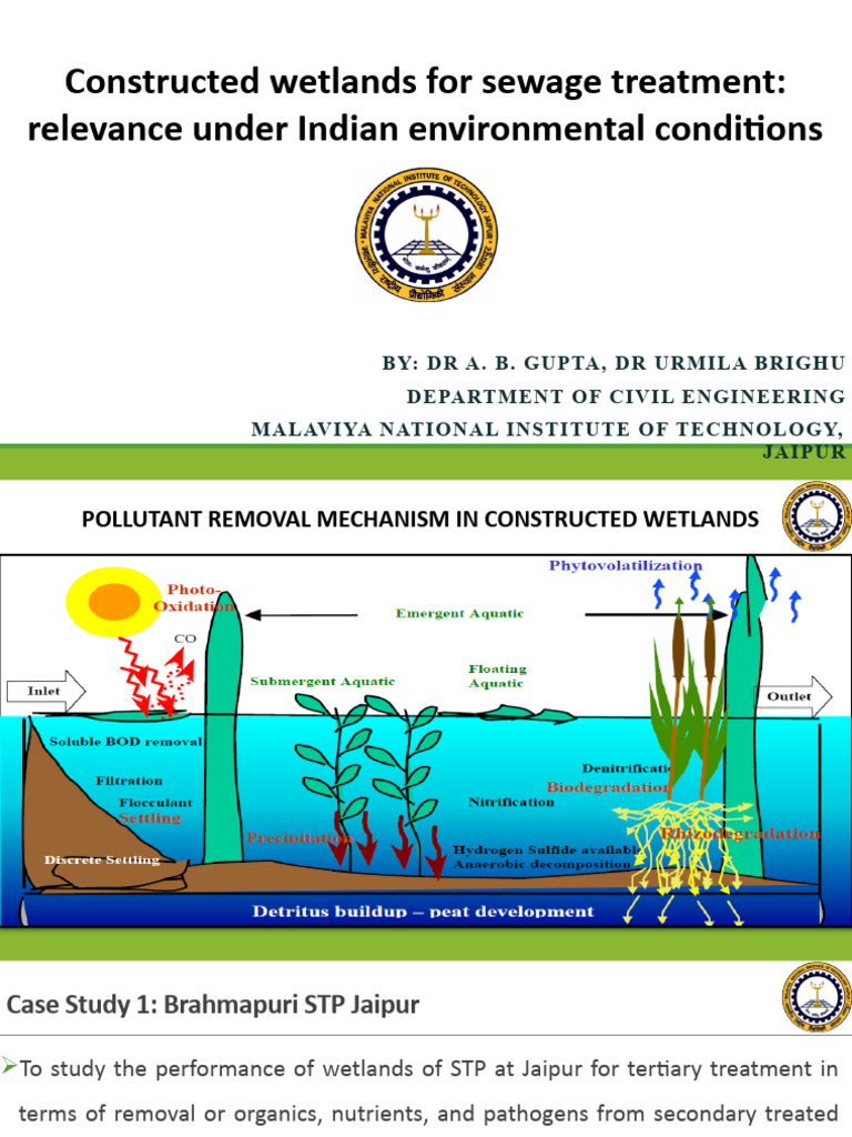 ABG UB Wetland Ppt | PDF | Sewage Treatment | Filtration