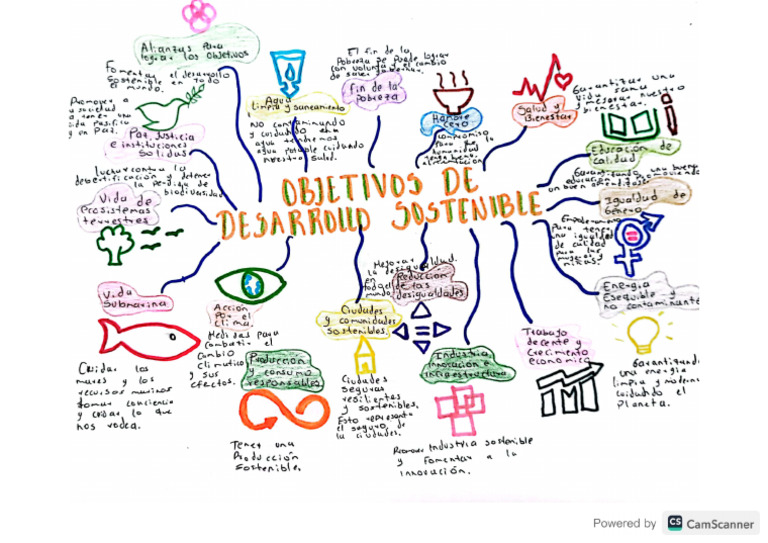 Mapa Mental Objetivo Del Desarrollo Sostenible | PDF