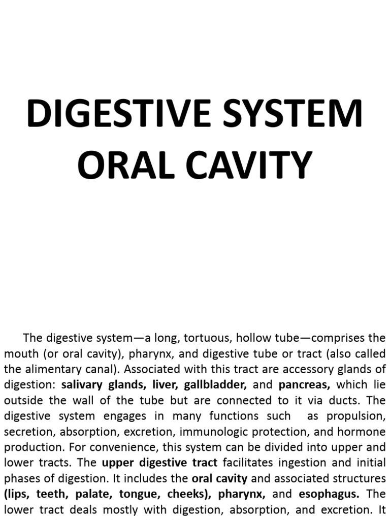 Git 1 Download Free Pdf Tongue Gastrointestinal Tract