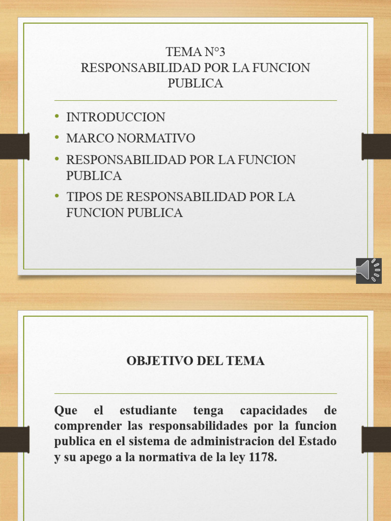 Tema 3 Responsabilidad Por La Funcion Publica | PDF | Derecho penal ...