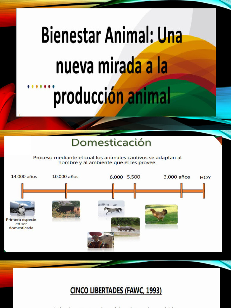 Bienestar Animal 5 Libertades PPP | PDF