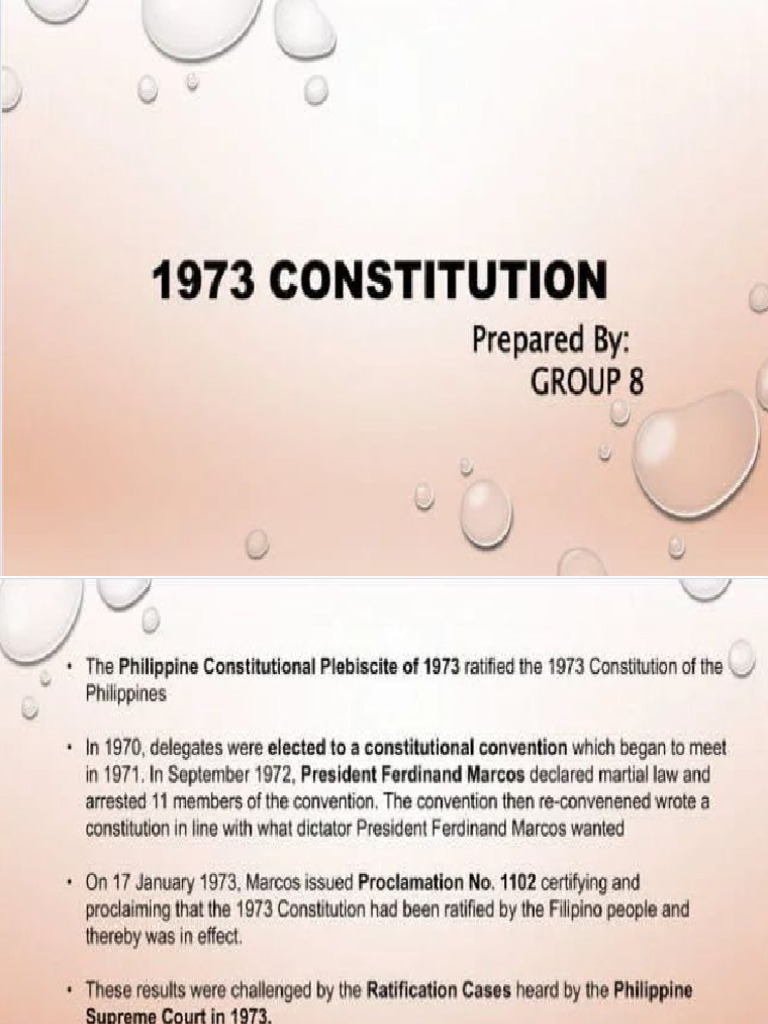 1973 Constitution | PDF
