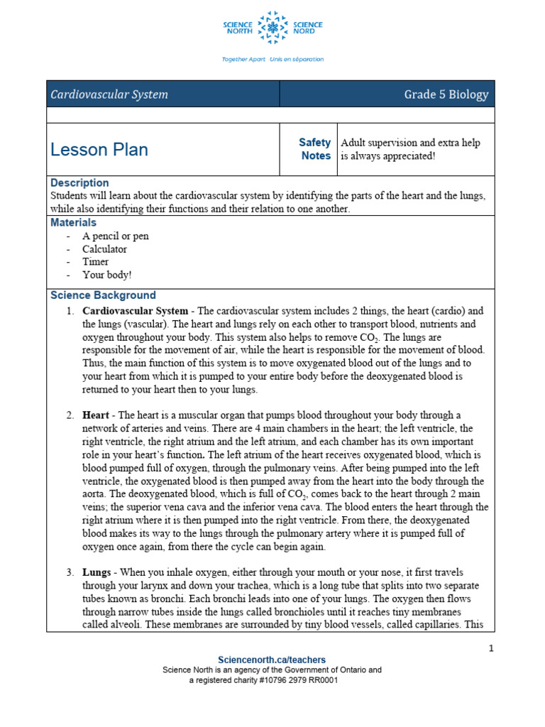 Grade 5 Cardiovascular Offline Science Lesson | PDF | Heart Rate | Heart