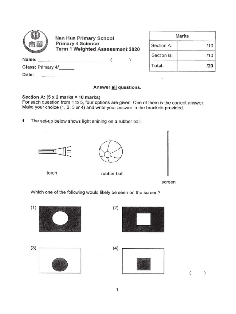 P4 Sci - Light Practice Questions (Paper) | PDF