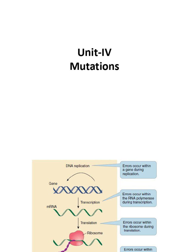 Mutations | Download Free PDF | Mutation | Point Mutation