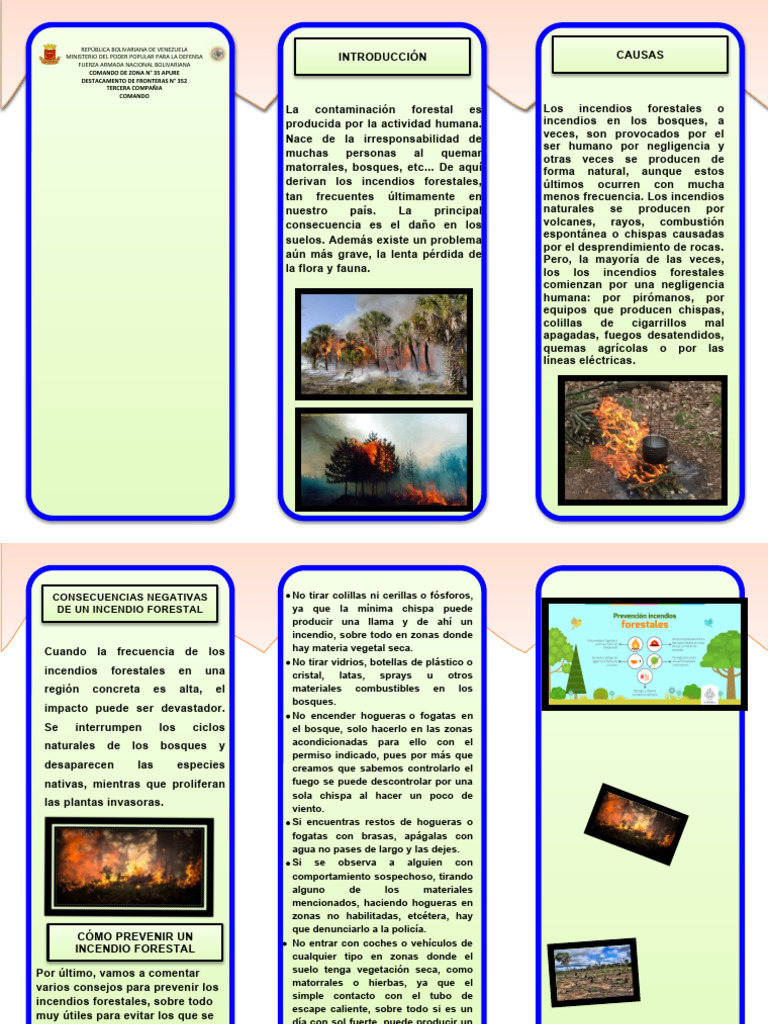 Triptico Contaminacion Forestal | PDF | Fuego fatuo | Los bosques
