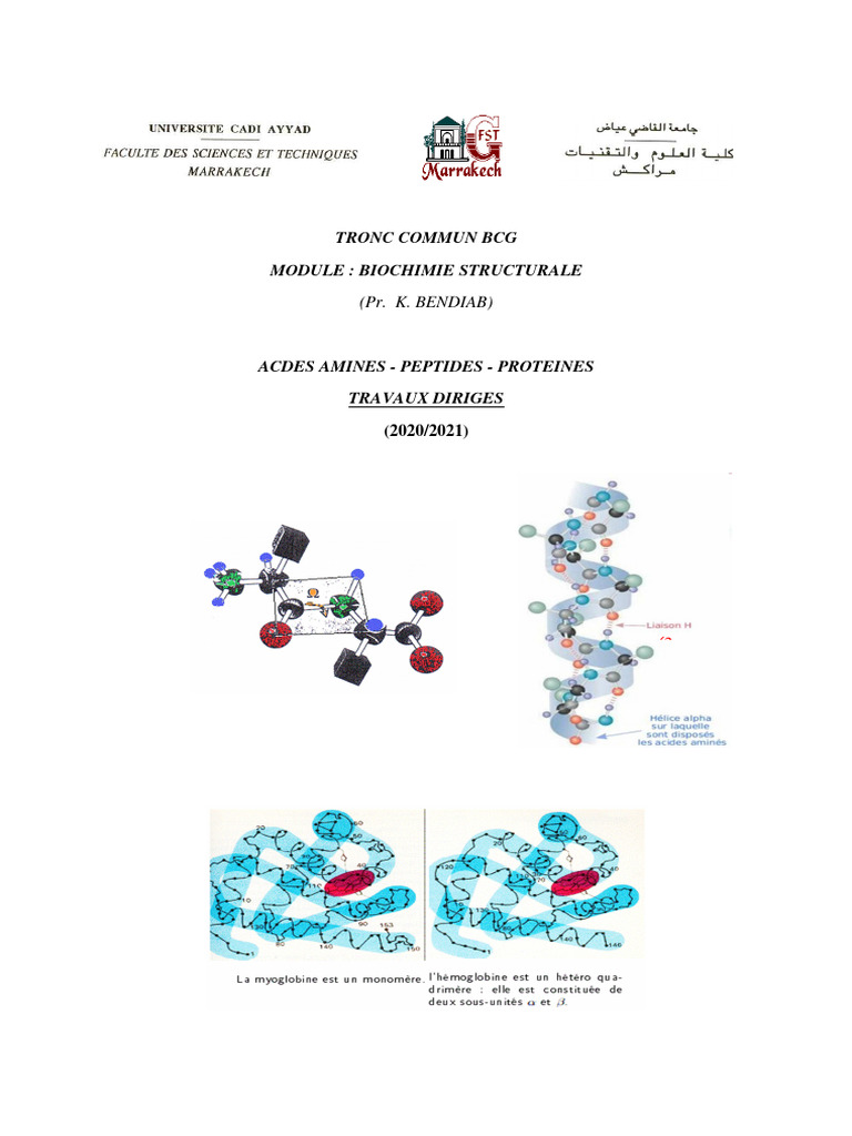 Calcul du pHi et exercices sur peptides | PDF | Acide aminé | Peptide