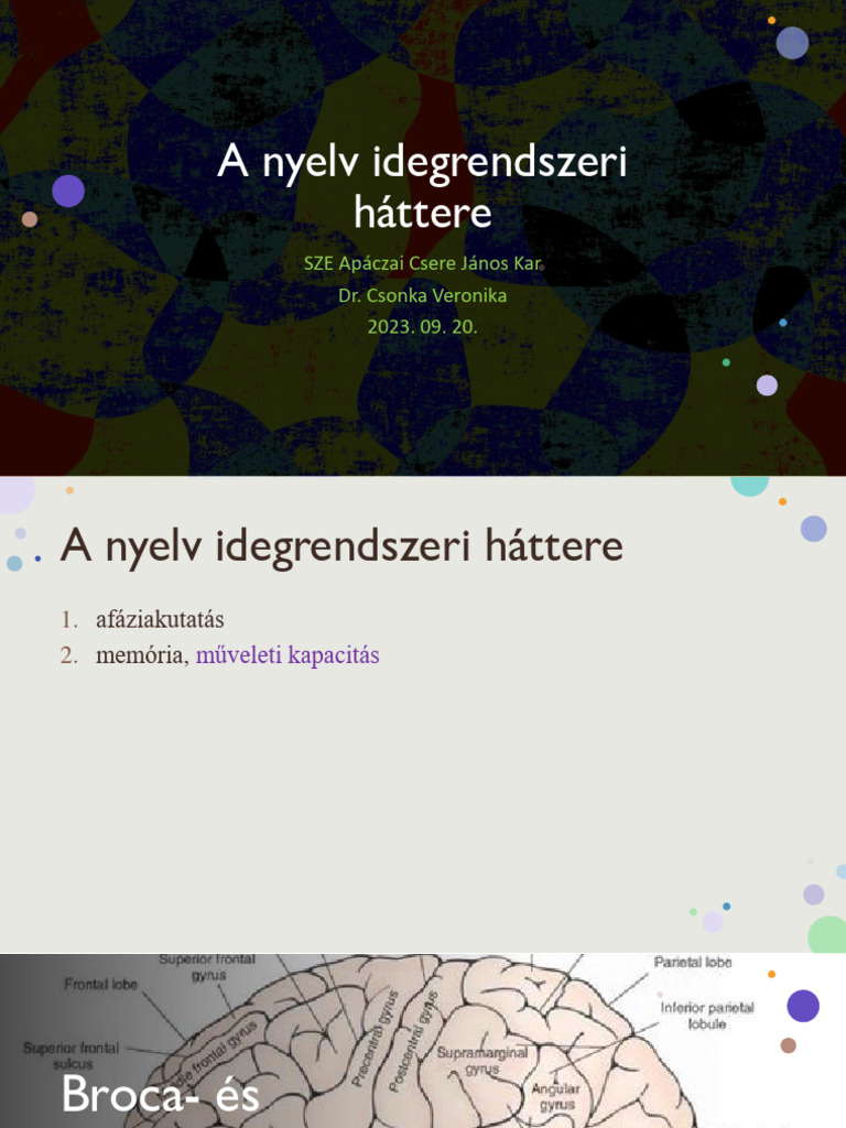 A Nyelv Idegrendszeri Háttere - Új | PDF