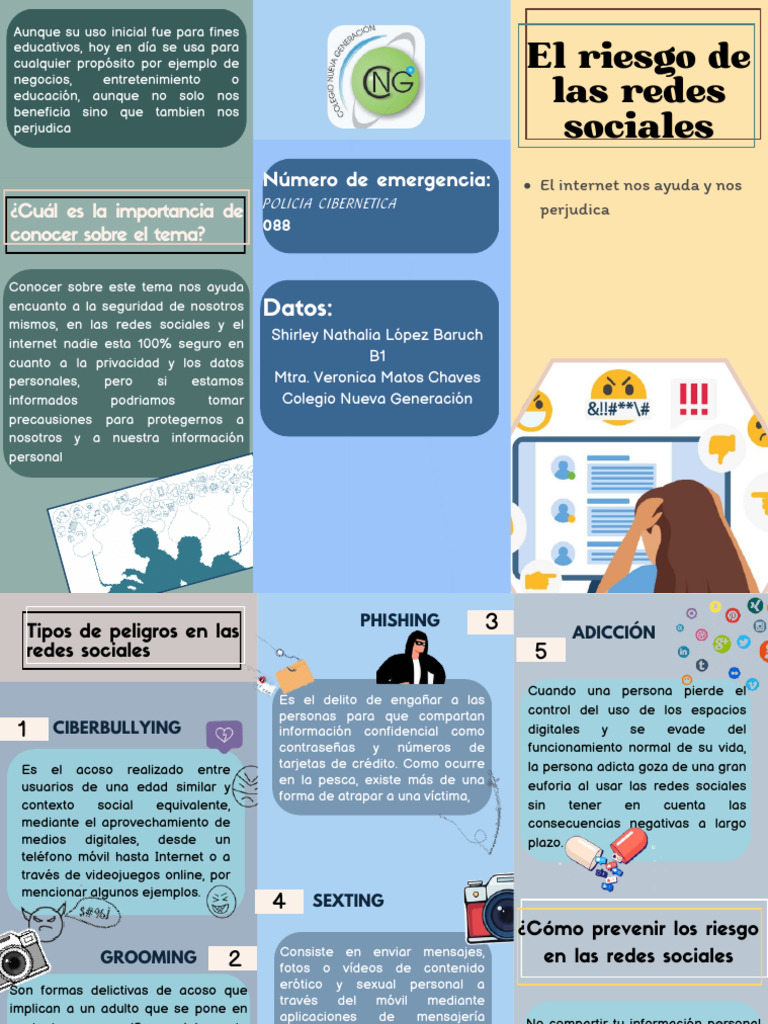El Riesgo de Las Redes Sociales | PDF | Acoso cibernético | Servicio de redes sociales