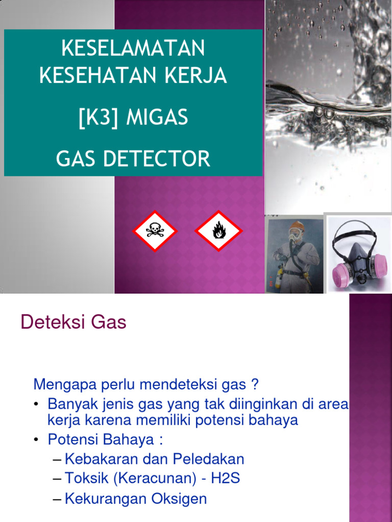 SS-Gas Detector | PDF