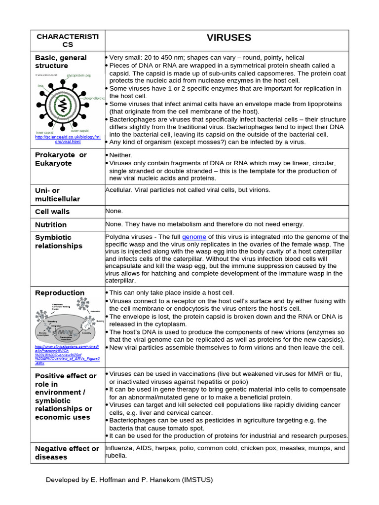 Microbiology: Viruses and Bacteria Overview | PDF | Virus | Cell (Biology)