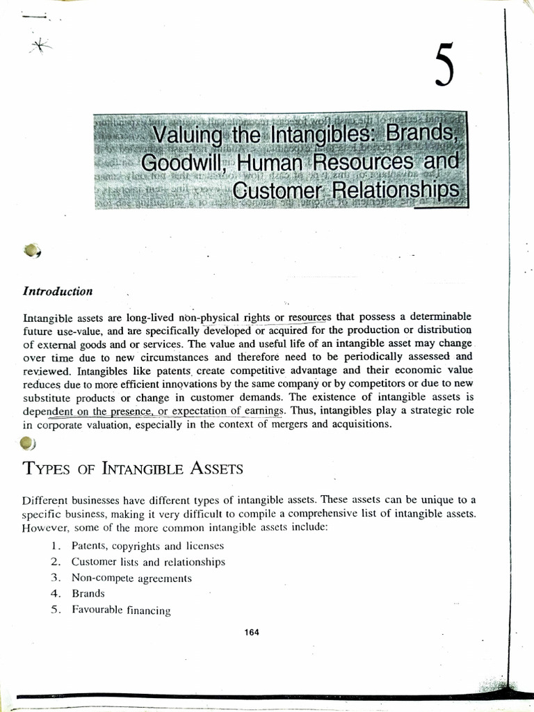 Valuing The Intangibles | PDF
