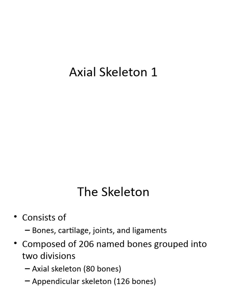 Axial_1 | PDF | Skull | Human Anatomy