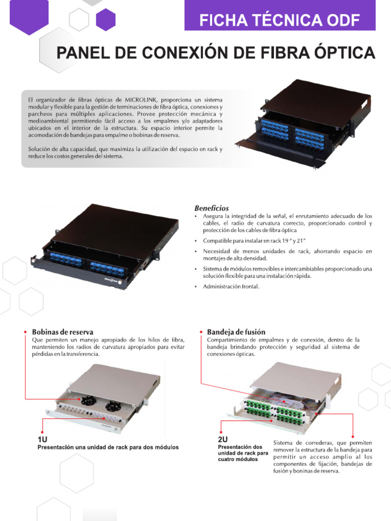 Ficha ODF Actualizada | PDF