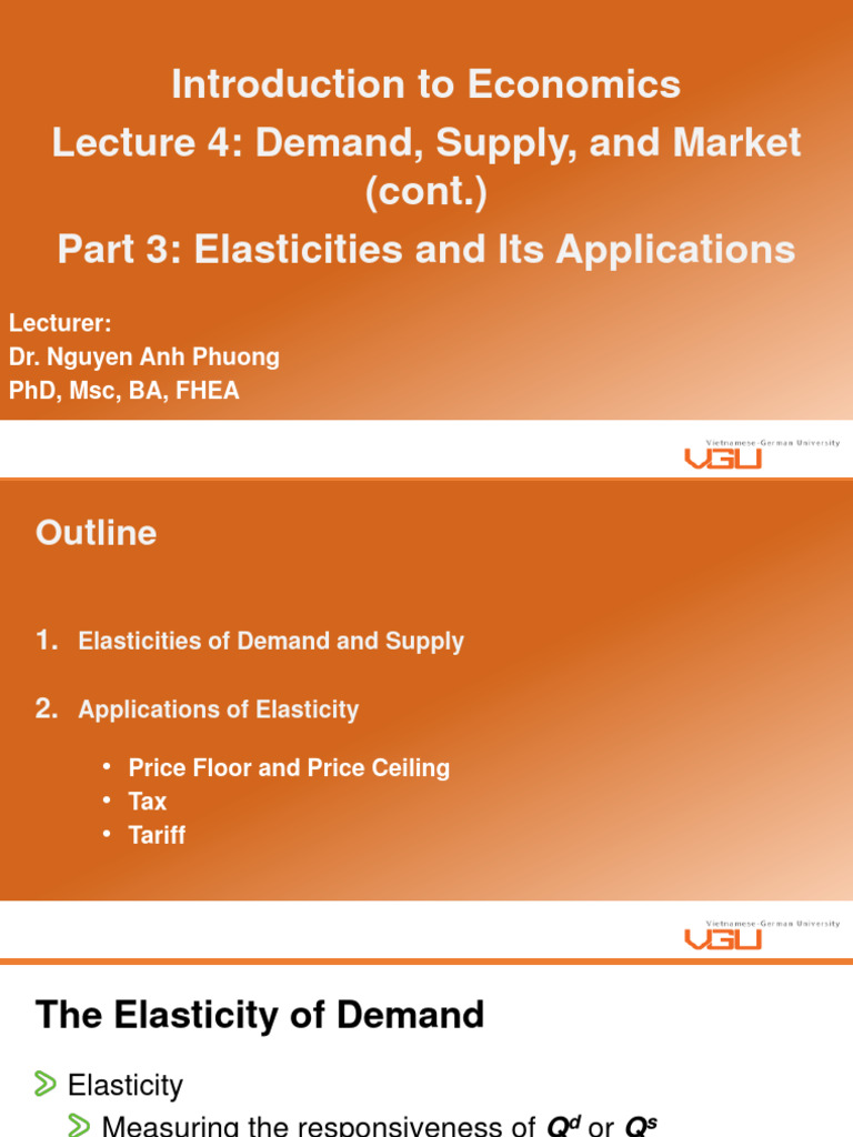 Lecture 4 Accessible Updated | PDF | Elasticity (Economics) | Demand