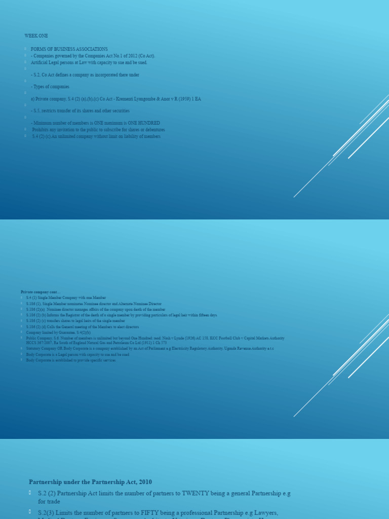 Ba 1 Presentation | PDF | Partnership | Legal Liability