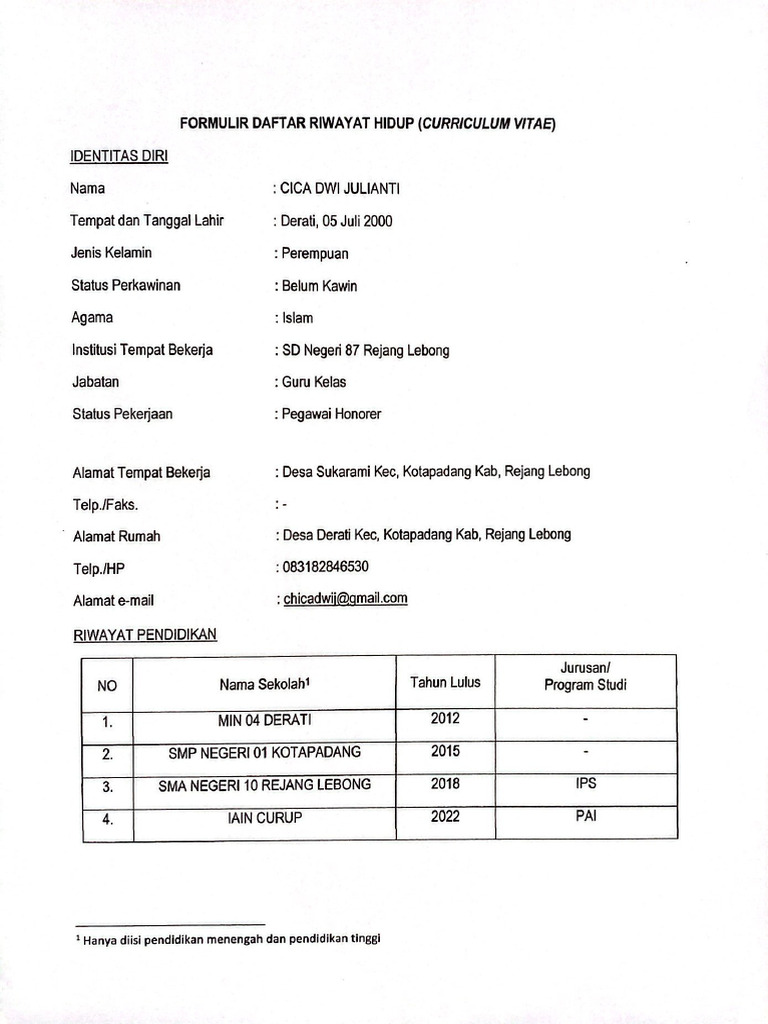 CV Kuliah Cica | PDF