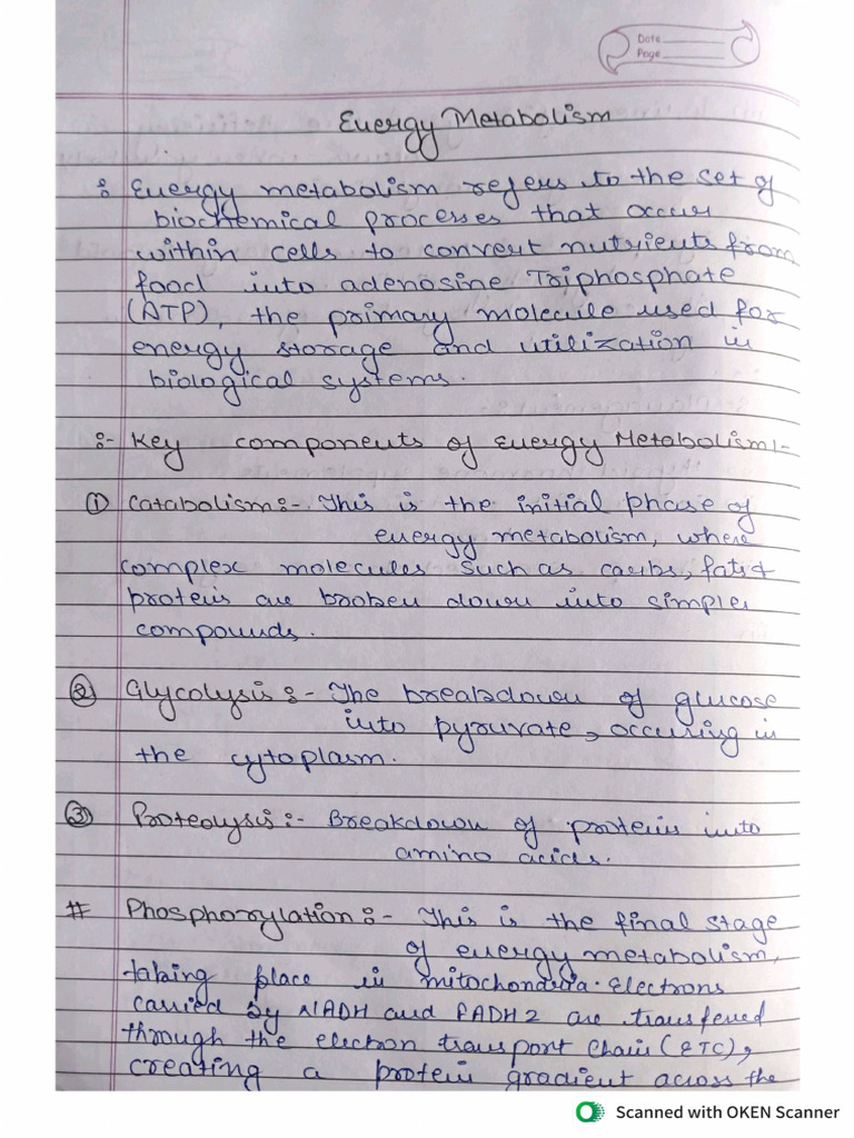 Food Science Notes | PDF