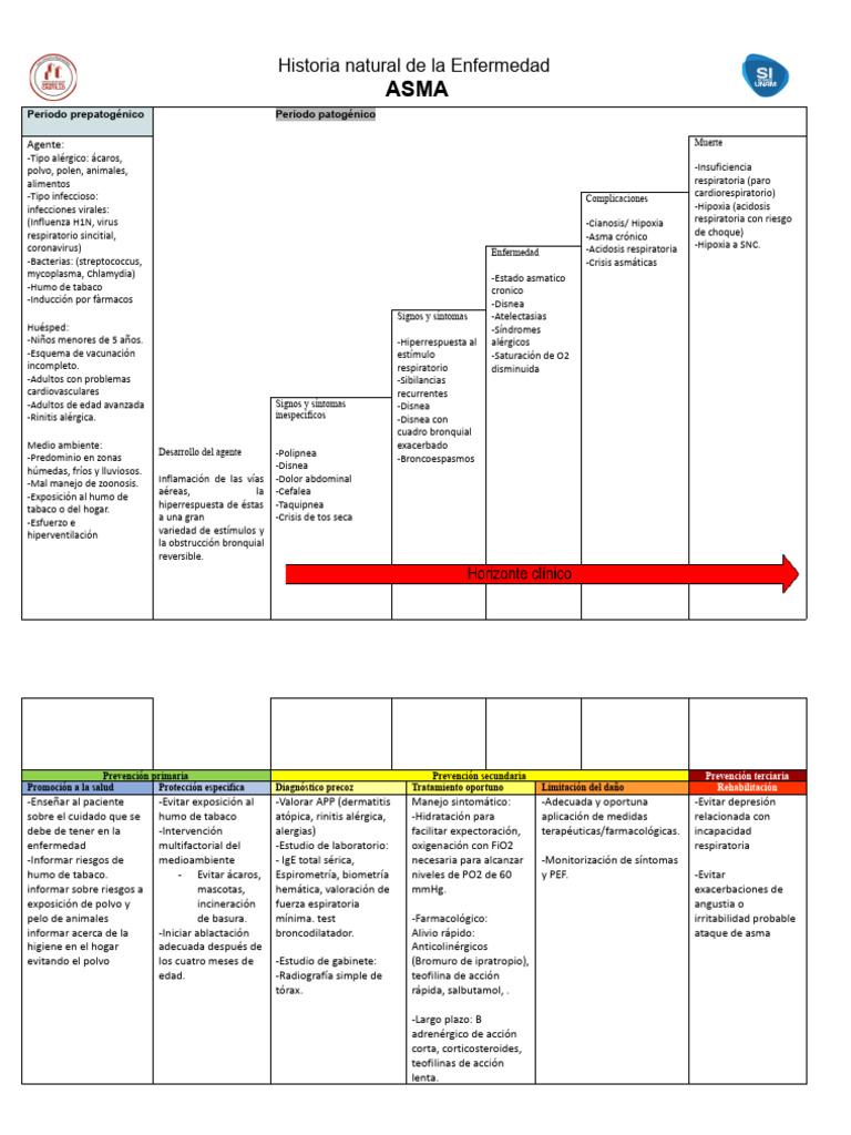 Historia Natural del Asma: Prevención y Manejo | PDF | Asma | Alergia