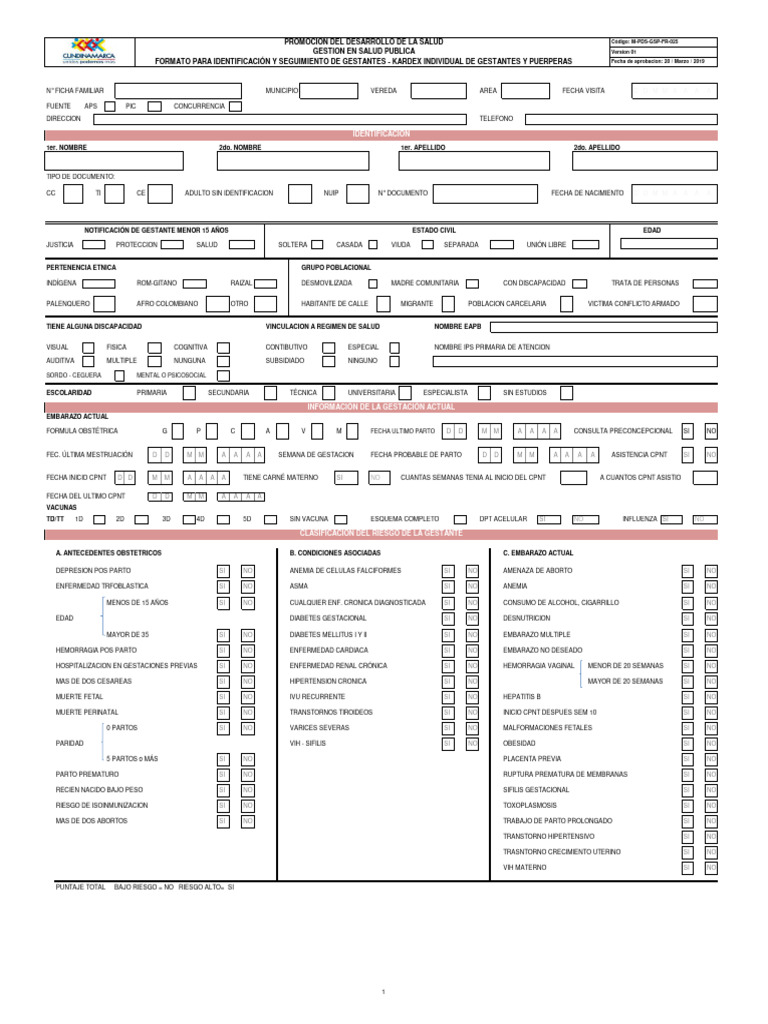 2 Formato Gestantes 2019 | Descargar gratis PDF | El embarazo | Parto