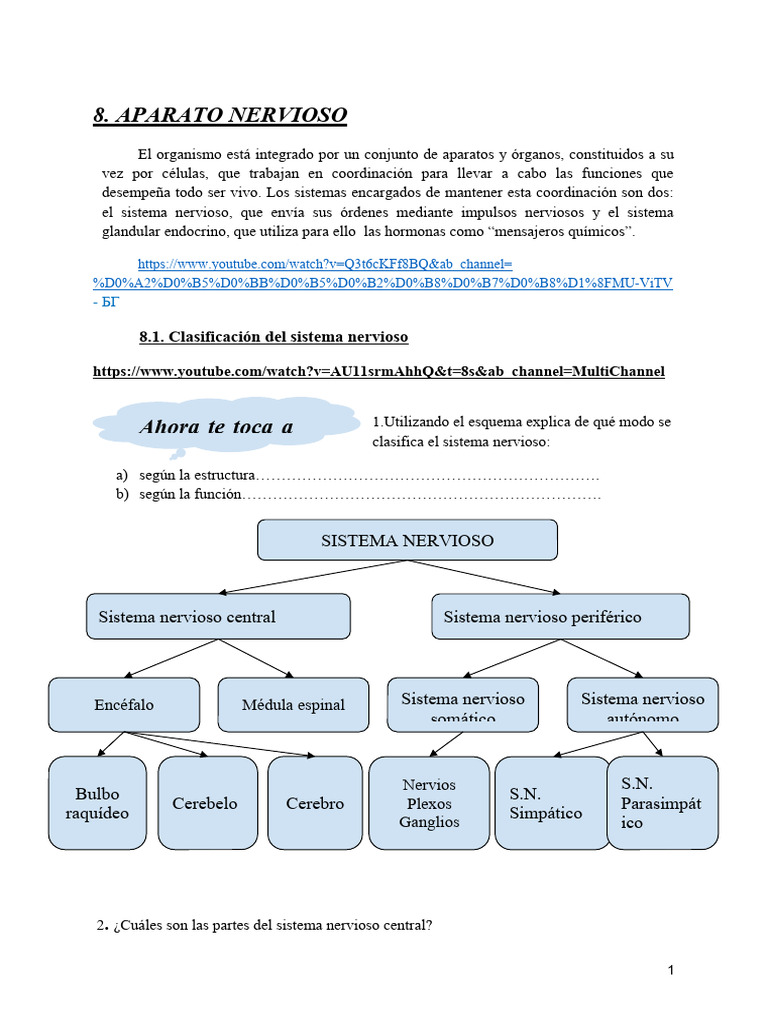 8.aparato Nervioso | PDF | Médula espinal | Cerebro