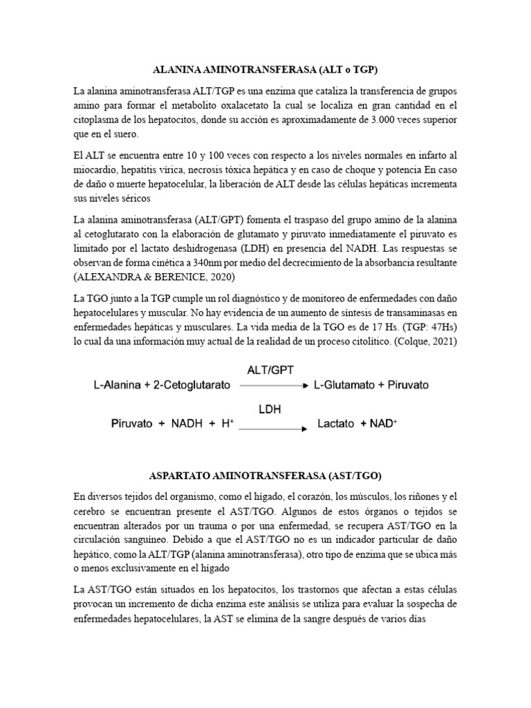 ALANINA AMINOTRANSFERASA | PDF | Transaminasa | Alanina transaminasa
