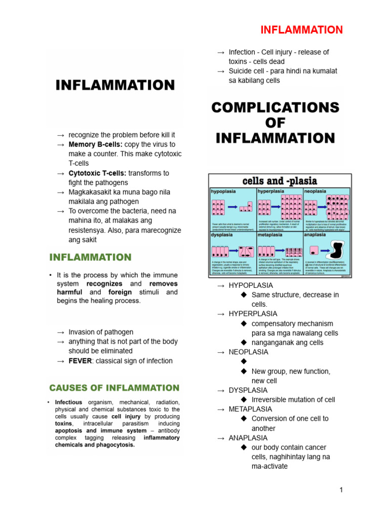 Inflammation | PDF | Inflammation | Blood Vessel