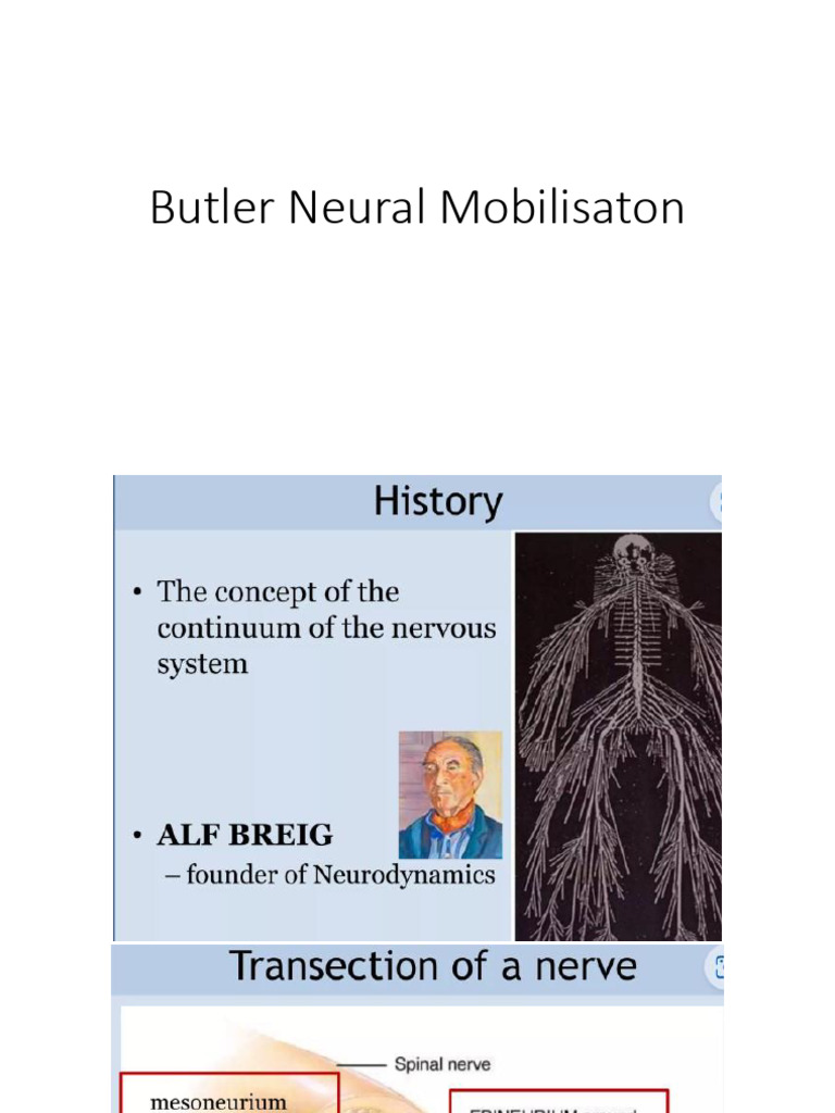 Repo Neural Mobilisation | PDF