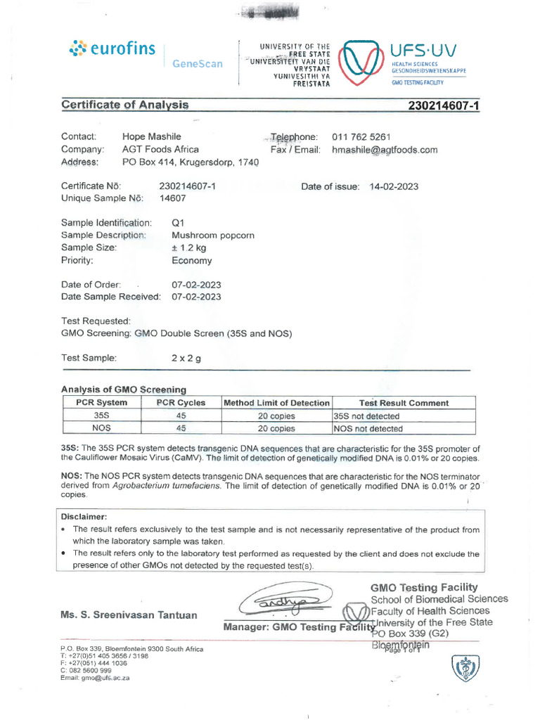Sertifikat No GMO Jagung | PDF