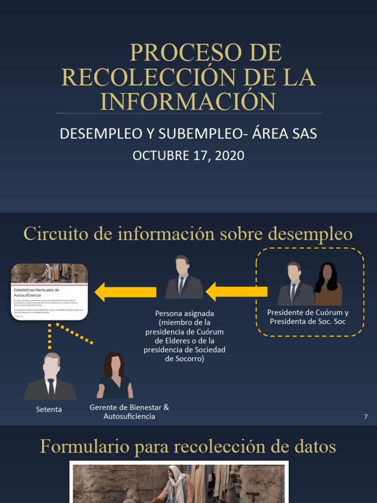 Proceso de Relevamiento de La Información | PDF | Desempleo