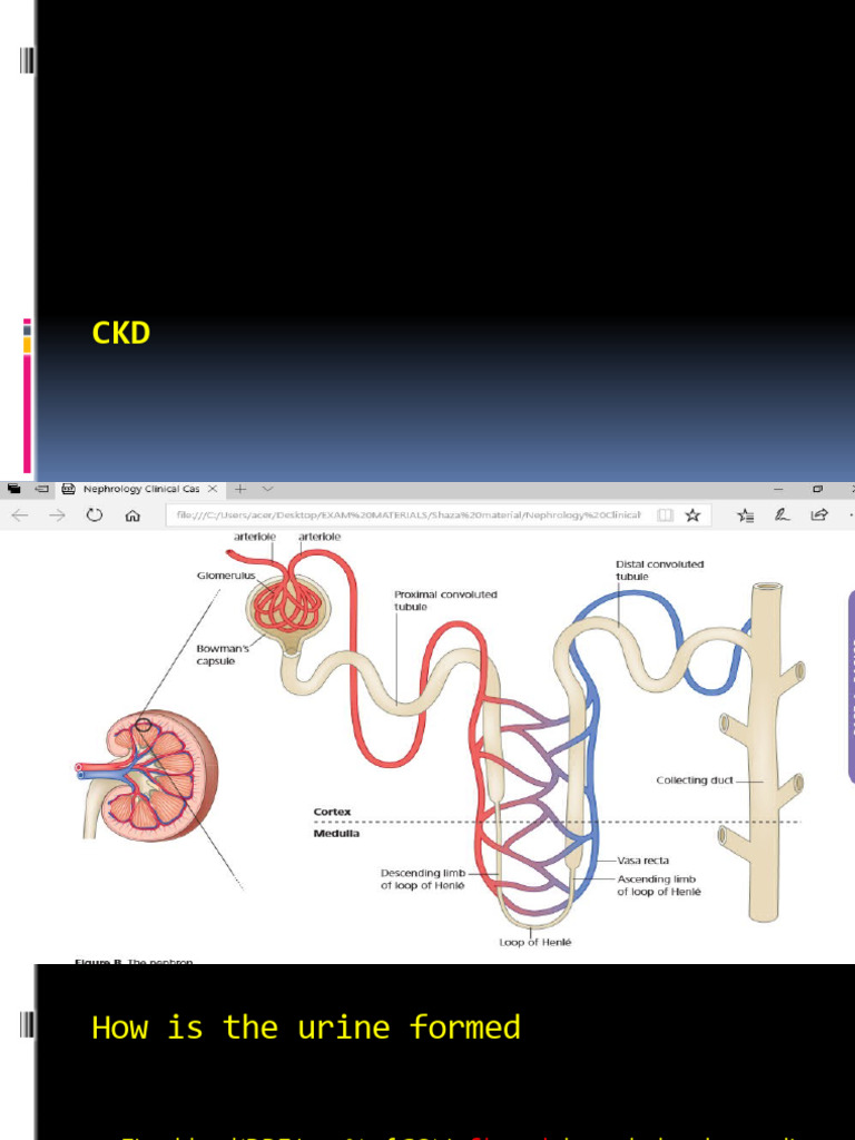 CKD | PDF | Genitourinary System | Medical Specialties