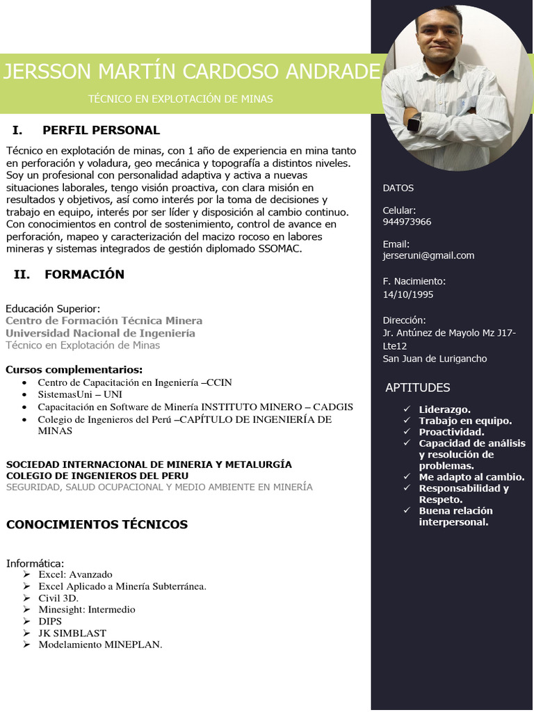 CV- J | PDF | Minería | Ingeniería