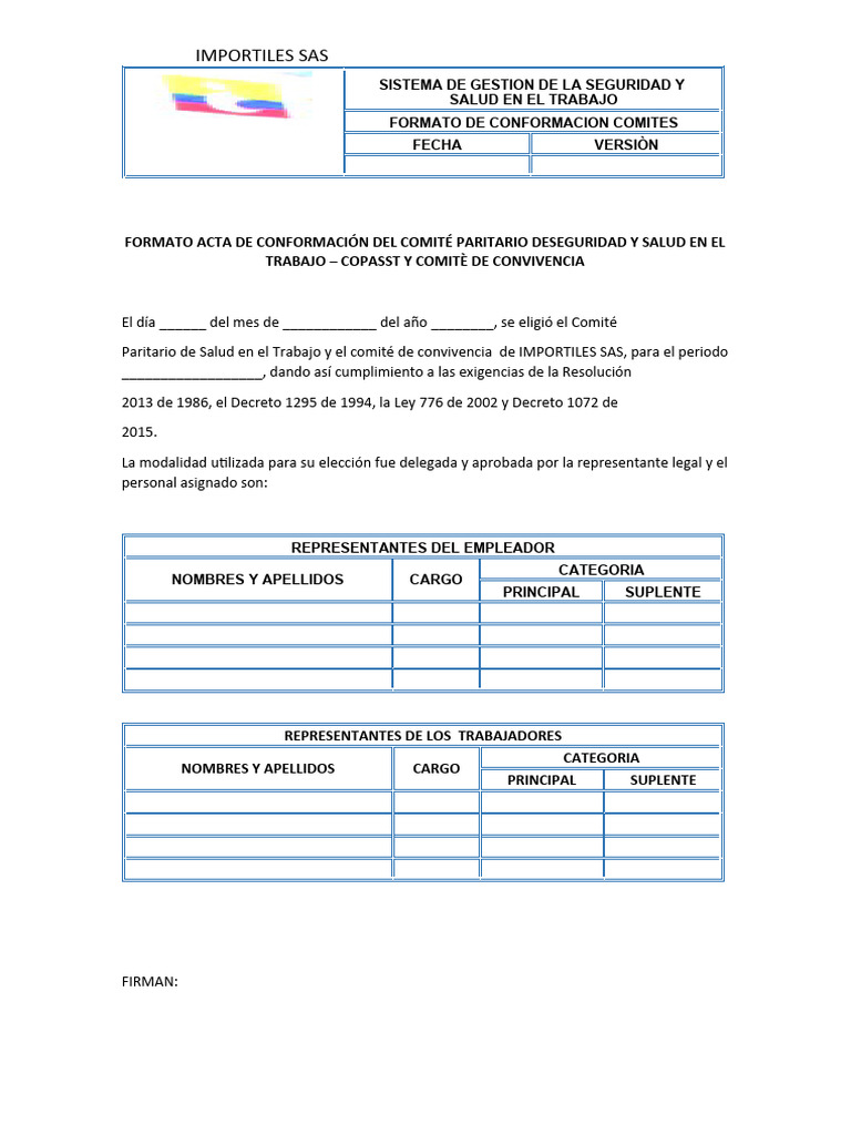 Formato de Conformacion de Comites | PDF