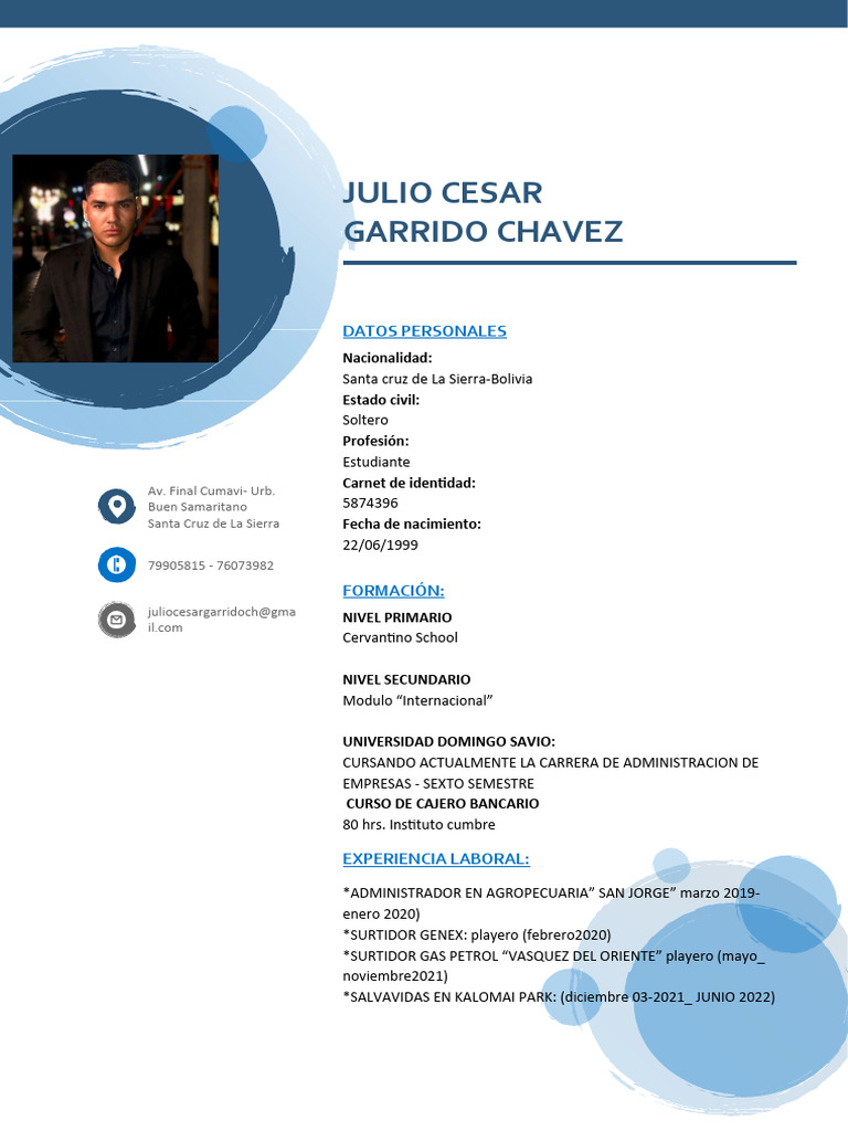 Cv Julio Cesar Garrido. | PDF