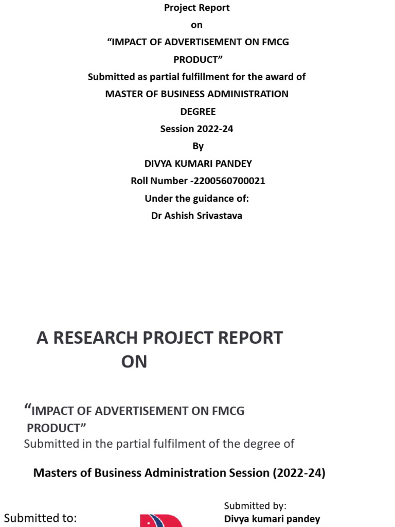 Project Report-WPS Office | PDF | Business | Business Economics