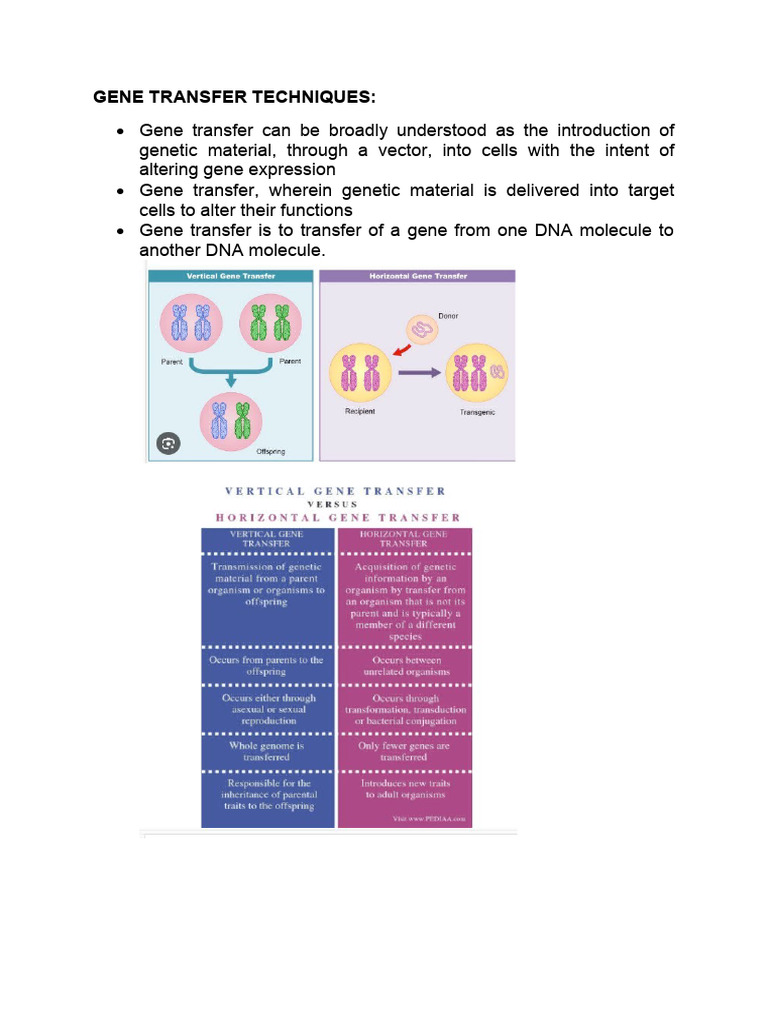 GENE TRANSFER TECHNIQUES | PDF | Plasmid | Transformation (Genetics)