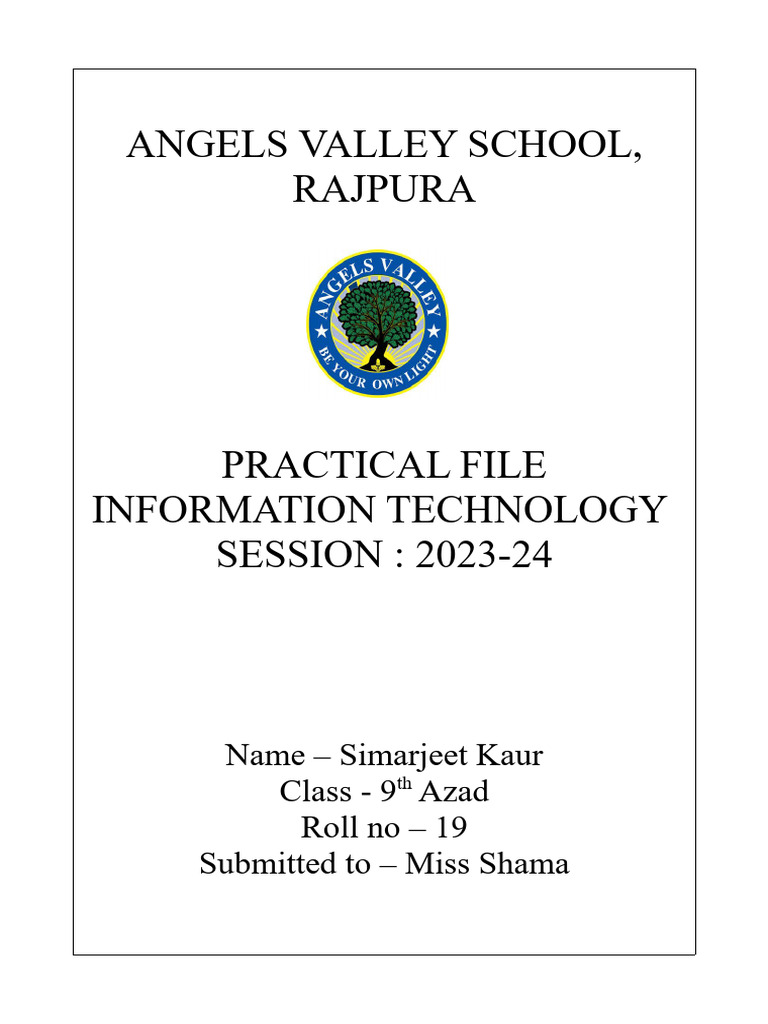 Class 9 It Practical File | PDF | Spreadsheet | Computer File