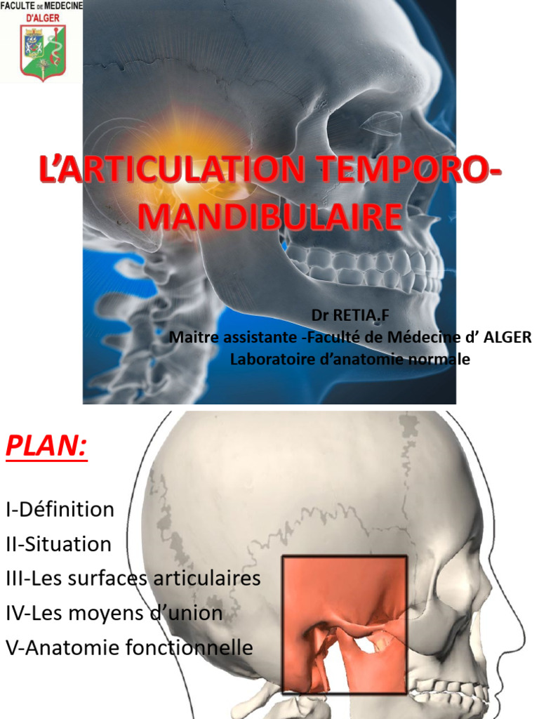 Anatomie de l'Articulation Temporo-Mandibulaire | PDF | Articulation ...
