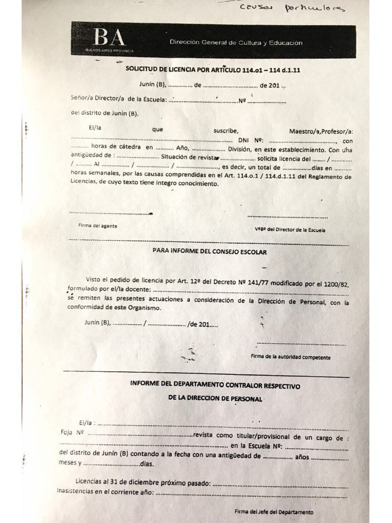 Formulario 114 O1 Causas Particulares | PDF