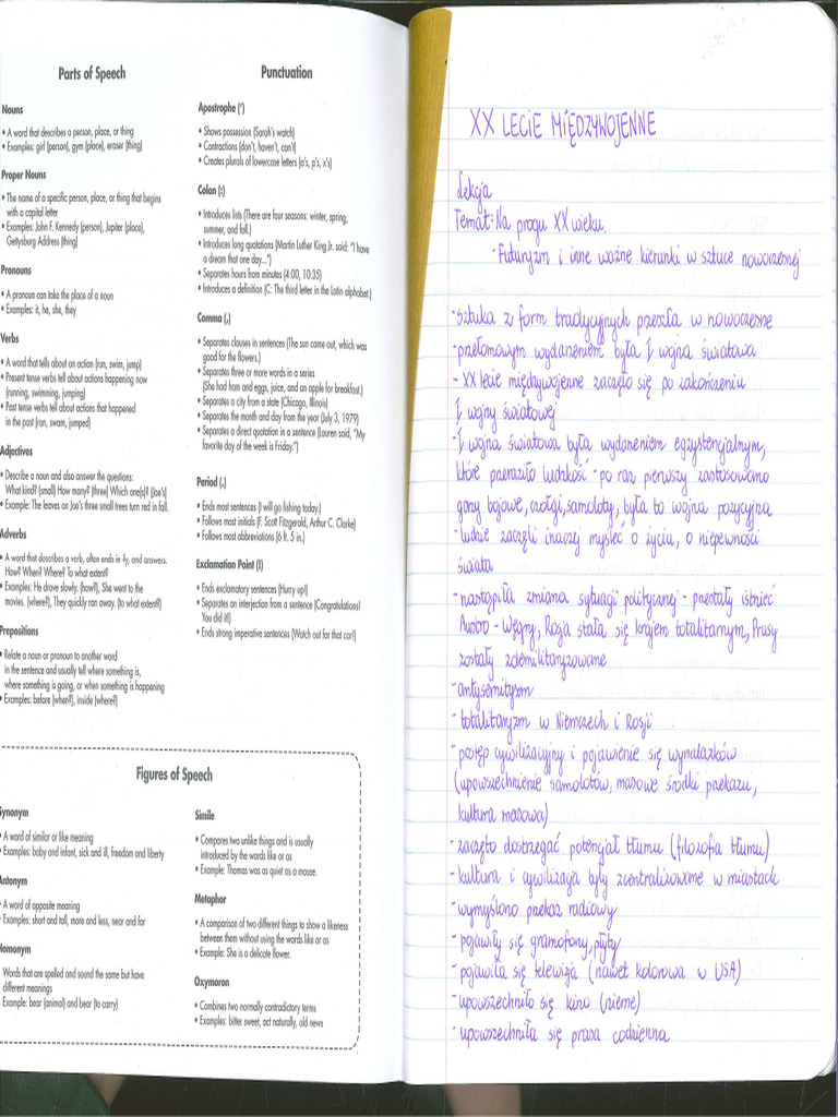 Polski Notatki Maturalne | PDF