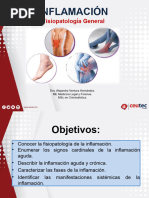 Etapas de La Inflamacion PDF | PDF | Inflamación | Inmunología