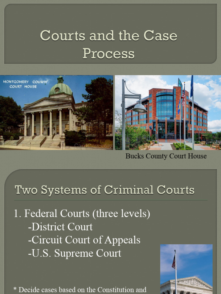 Courts and Case Process | Download Free PDF | State Court (United ...