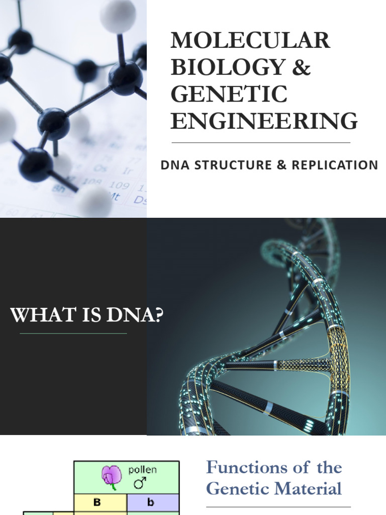 Topic 1 - DNA structure and replication | PDF | Dna Replication | Dna