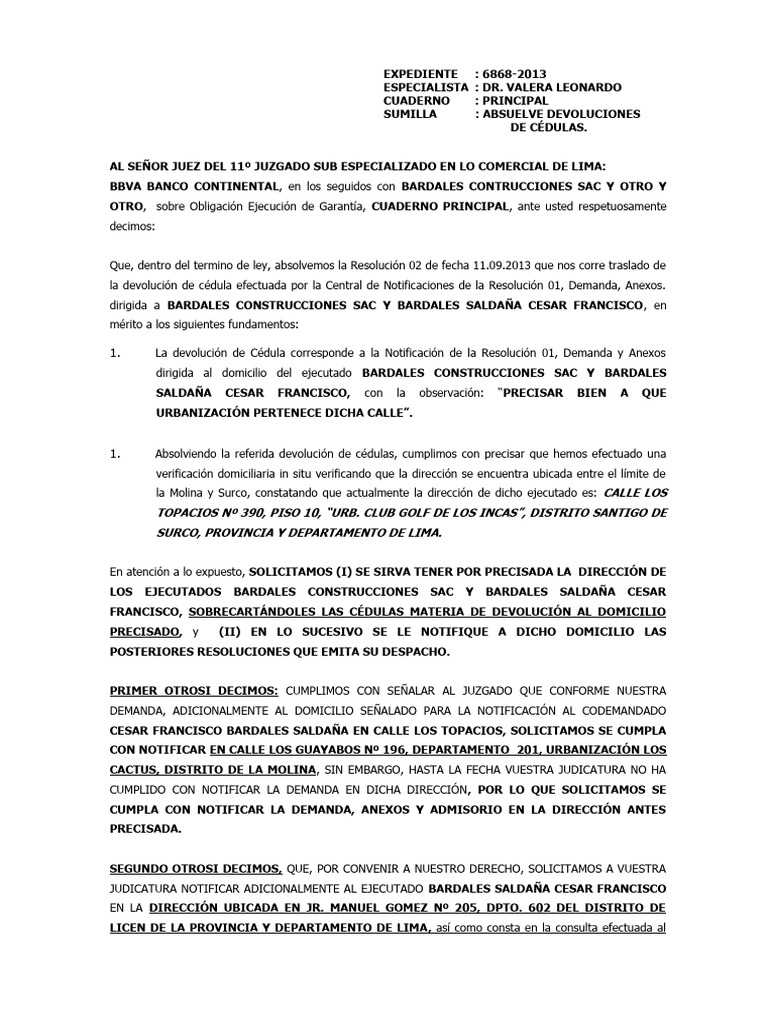 Devolución de Cedula | PDF | Gobierno