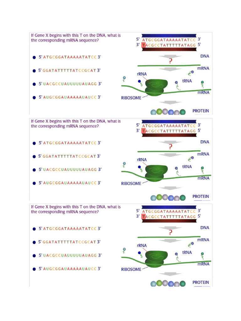 Plenary Transcription | PDF